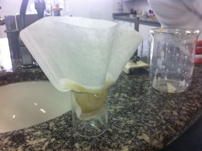 Biotecnologia - O DNA Pela Vida: Experimento: Extração do DNA da cebola